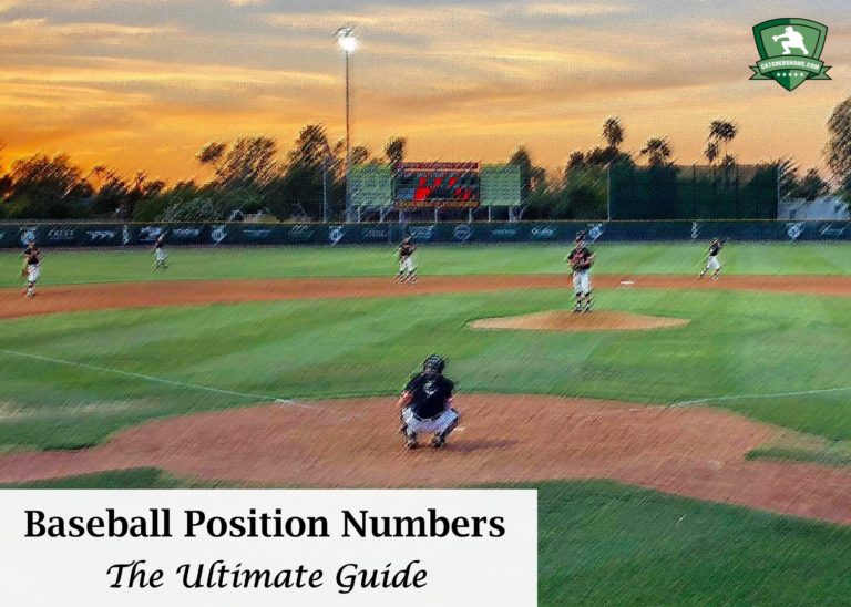Baseball Position Numbers: The Ultimate Guide [Tap for More!]