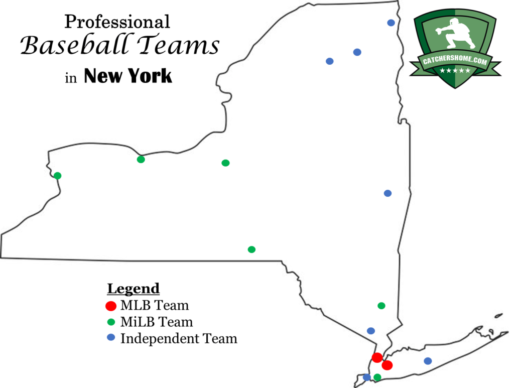 All Baseball Teams in New York (Learn More Here!)
