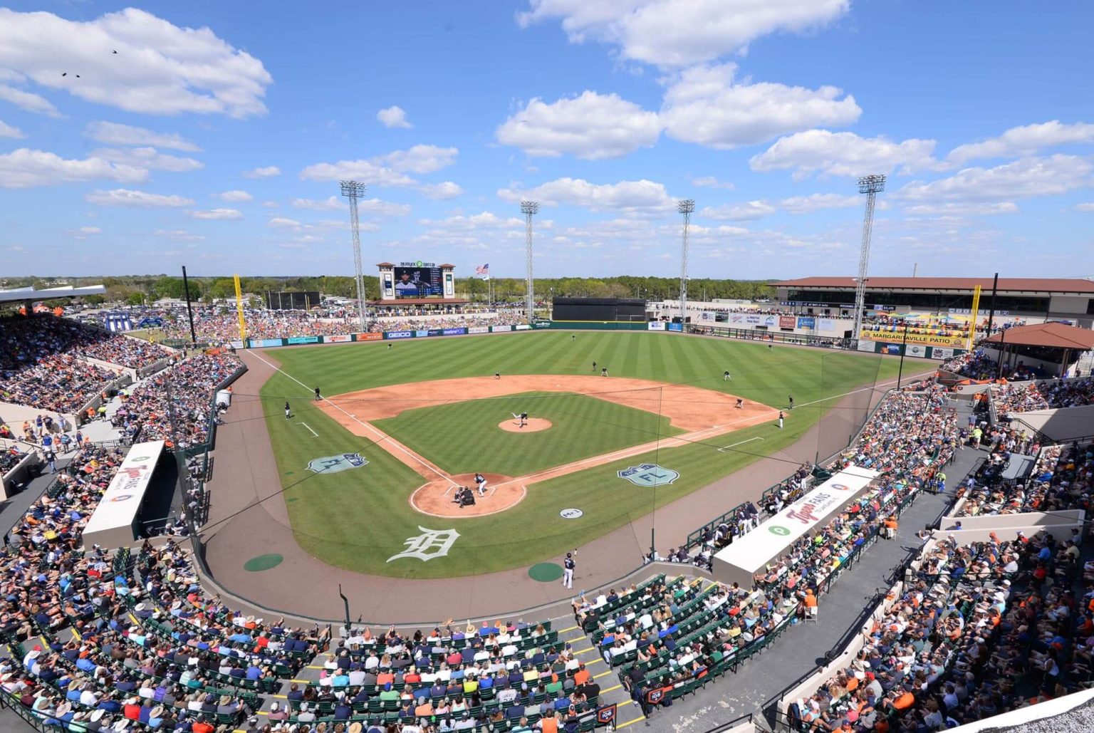 Baseball Teams in Florida (Learn About Each Team Here!)